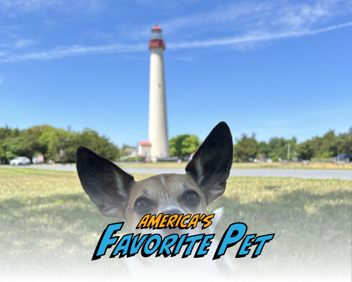 Milo | America's Favorite Pet