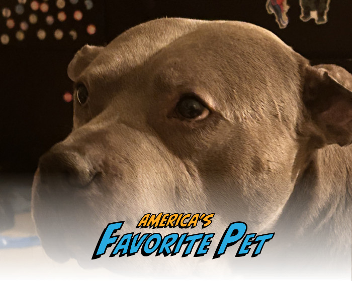 Zeus | America's Favorite Pet