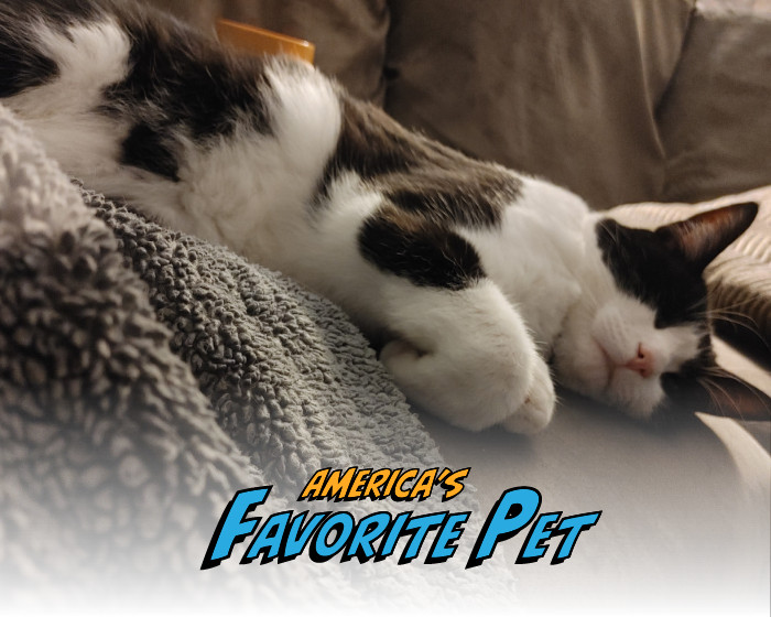 Milo | America's Favorite Pet