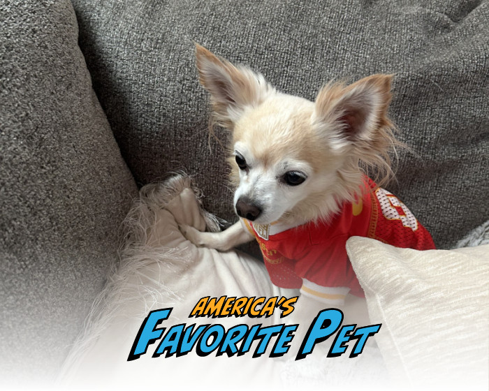 Milo | America's Favorite Pet