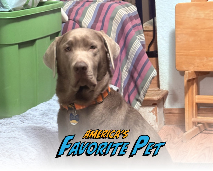 Zeus | America's Favorite Pet