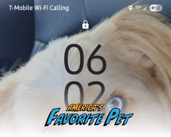 Riley | America's Favorite Pet