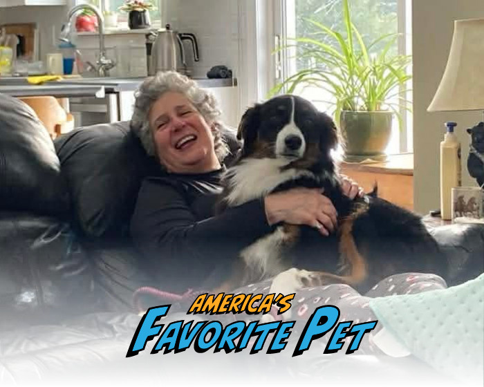 Shelby | America's Favorite Pet