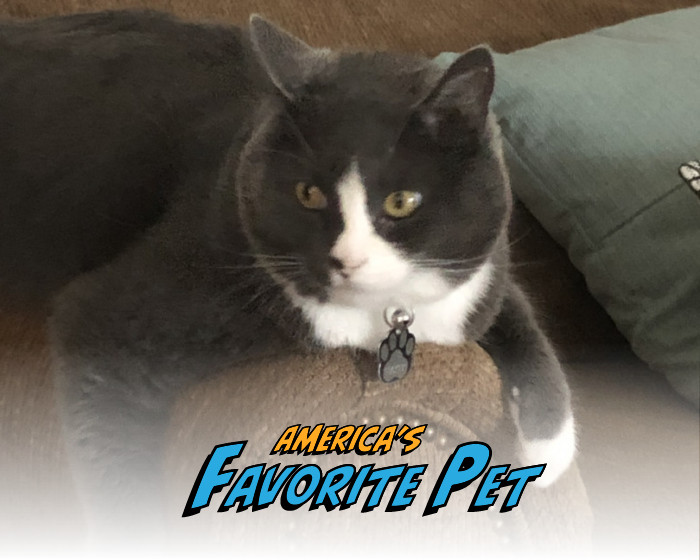 Tucker | America's Favorite Pet