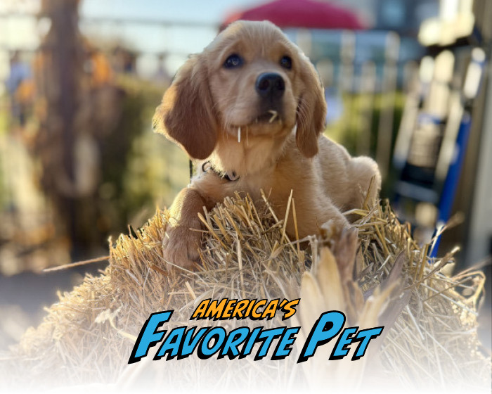 Ruby Roo | America's Favorite Pet