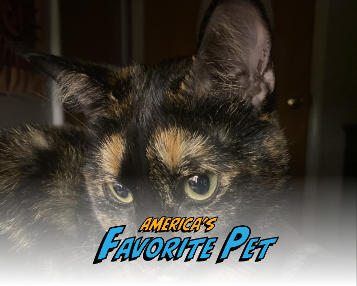 Ms.Pickles | America's Favorite Pet