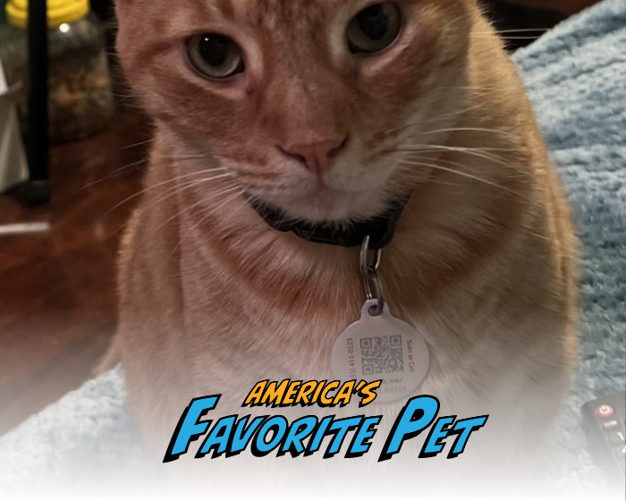 Teto | America's Favorite Pet