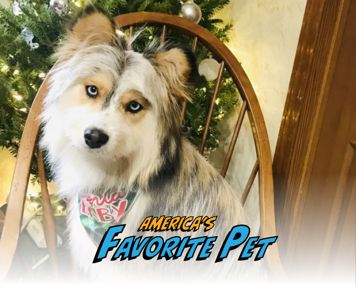 Finley Rose | America's Favorite Pet