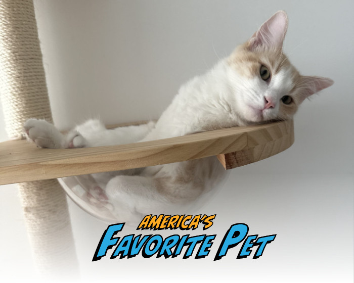 Milo | America's Favorite Pet