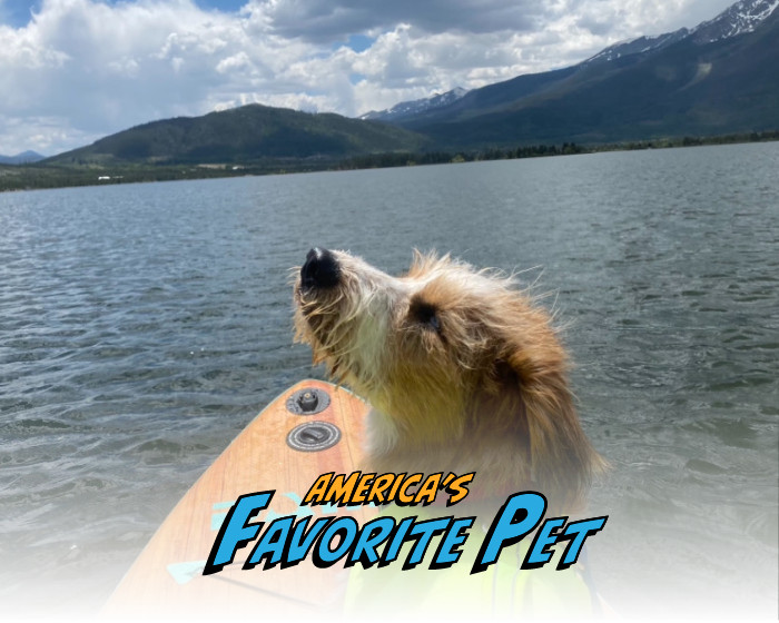 Creed | America's Favorite Pet