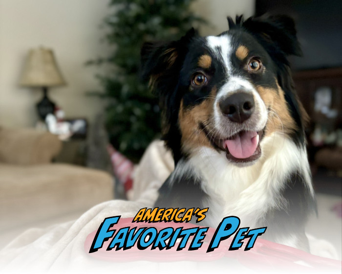 Penelope | America's Favorite Pet