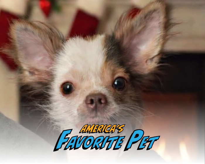 Walker Bait | America's Favorite Pet