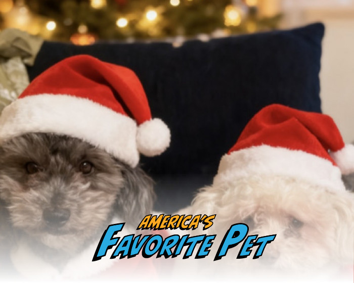 Kobe | America's Favorite Pet