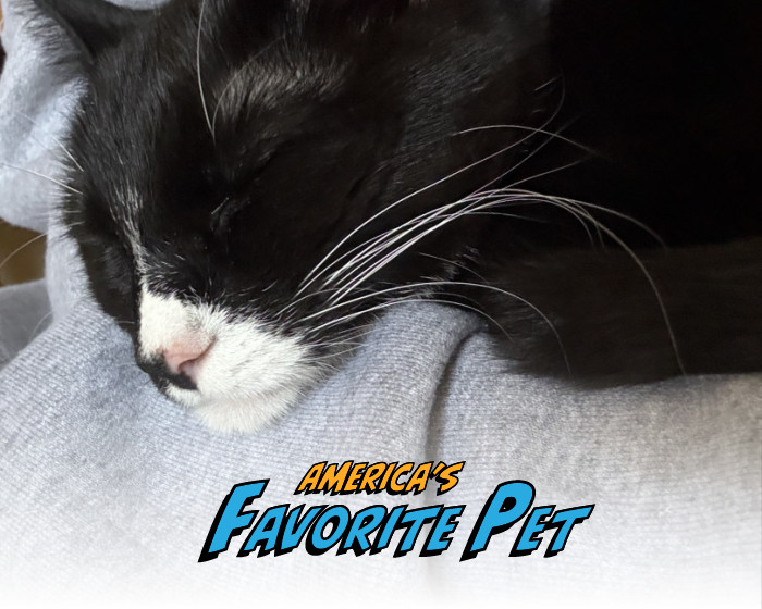 Zulu | America's Favorite Pet