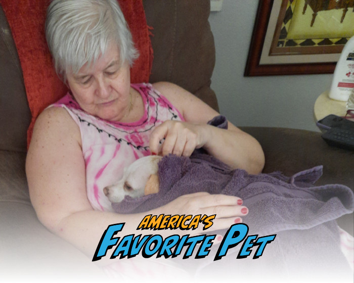 Raider | America's Favorite Pet
