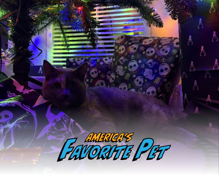 Lakoda | America's Favorite Pet