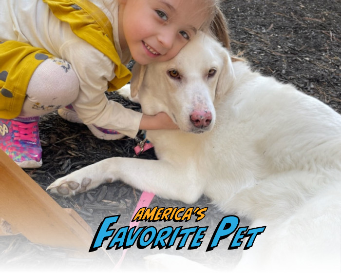 Elsa | America's Favorite Pet