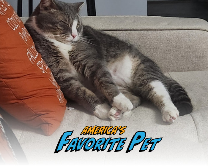 Moxie | America's Favorite Pet