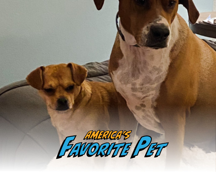 Waldo and MJ | America's Favorite Pet
