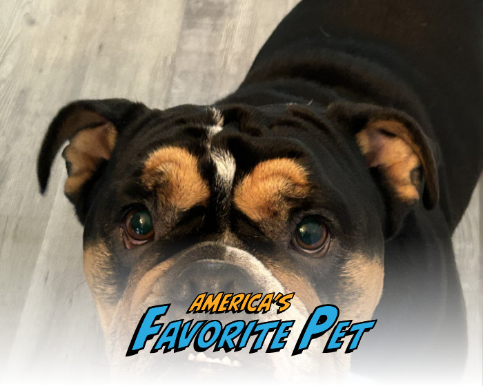 Tootsie Roll | America's Favorite Pet