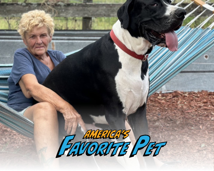 Apollo | America's Favorite Pet