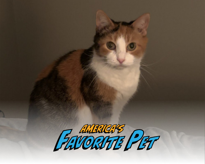 Sammy jo | America's Favorite Pet