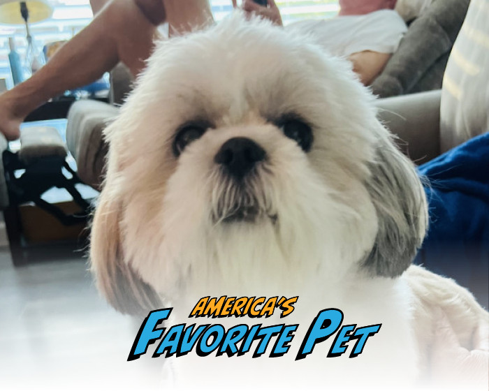 Tucker | America's Favorite Pet