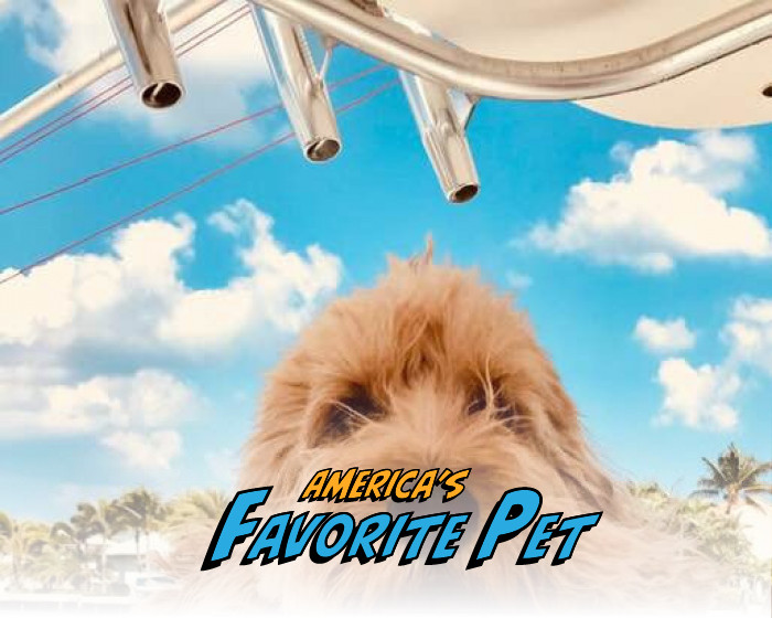 Archie | America's Favorite Pet