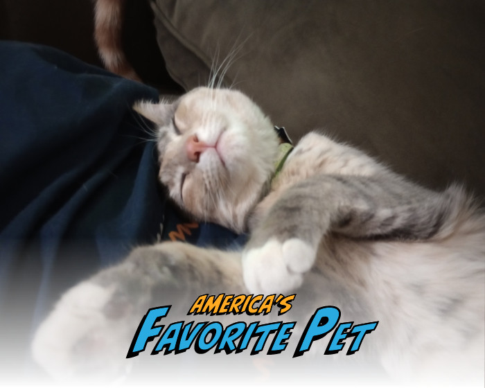 Princess Diarrhea | America's Favorite Pet