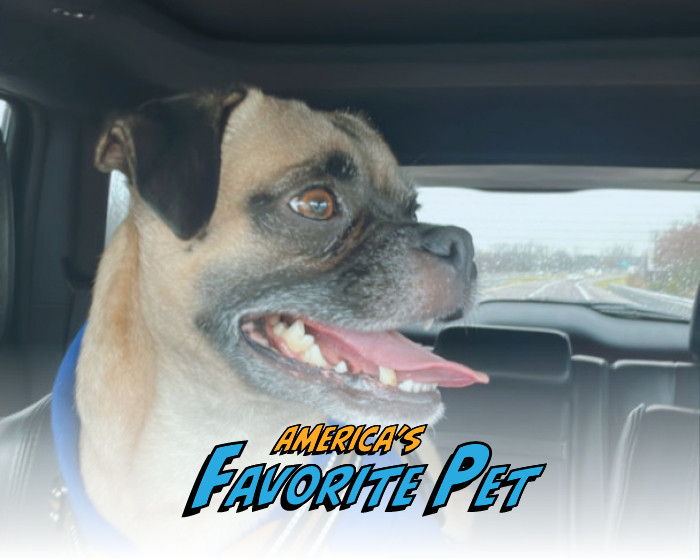 Diego | America's Favorite Pet