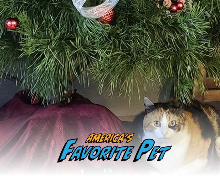 Piper | America's Favorite Pet