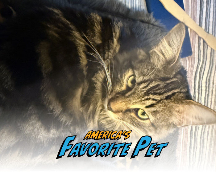 Stanley Robert | America's Favorite Pet