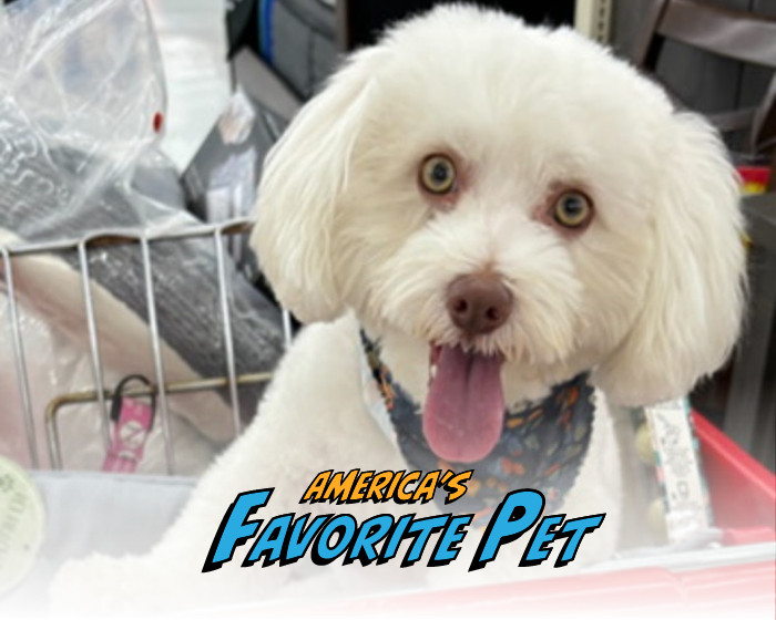 Tucker | America's Favorite Pet