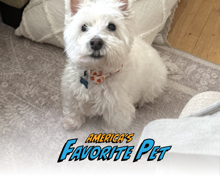 Tucker | America's Favorite Pet