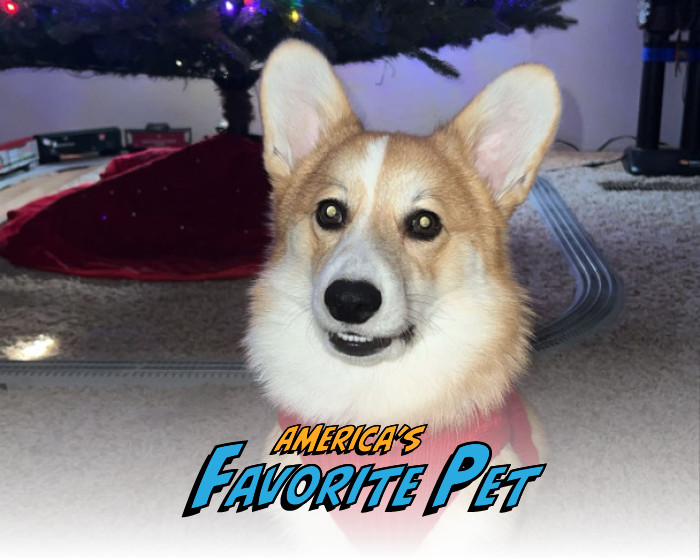 Milo | America's Favorite Pet