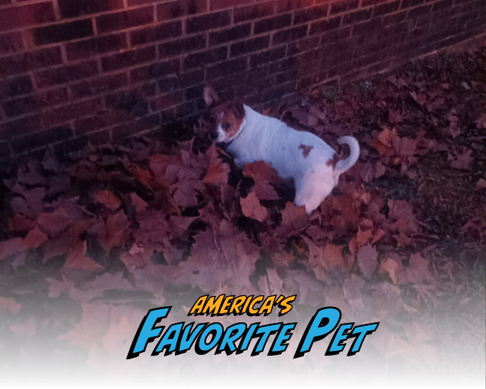 Butterball | America's Favorite Pet