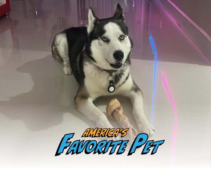 Zeus | America's Favorite Pet