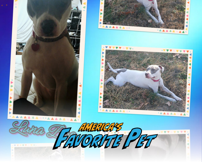 Luna | America's Favorite Pet