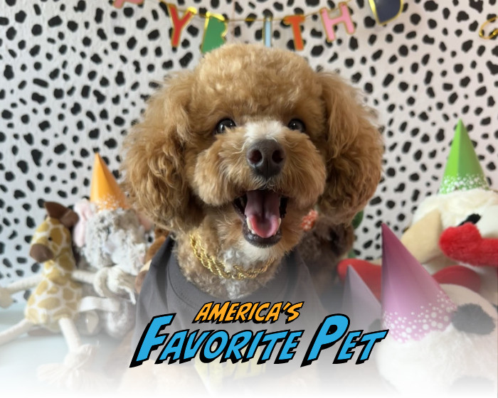 Bishop | America's Favorite Pet