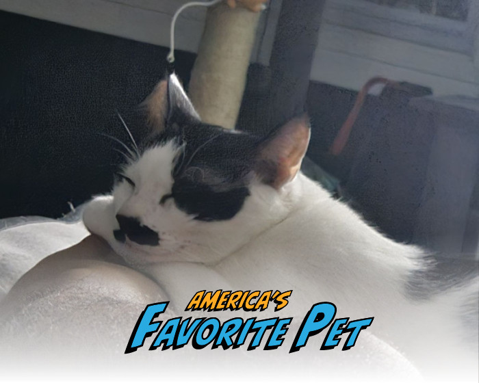 Oreo | America's Favorite Pet