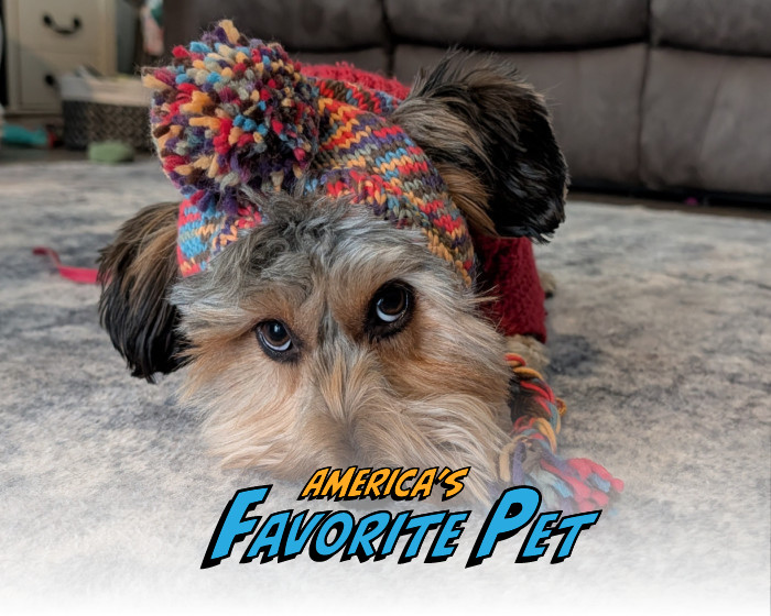 Tucker | America's Favorite Pet