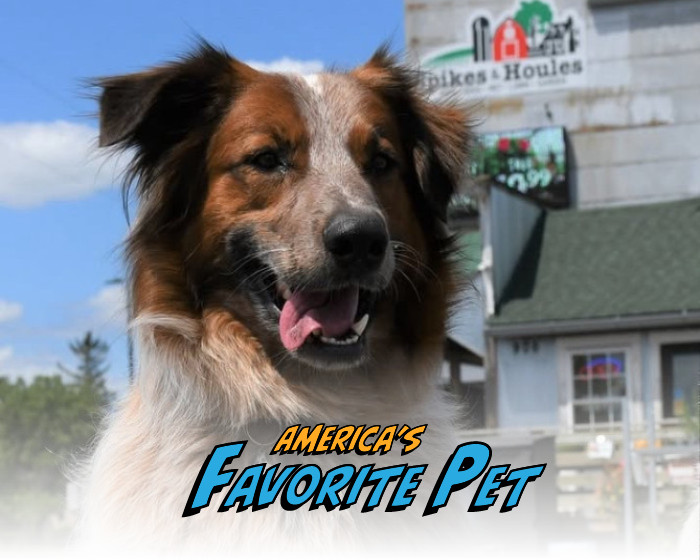 Oakley | America's Favorite Pet