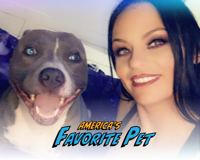 Storm | America's Favorite Pet