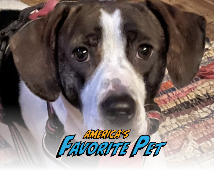 Tucker | America's Favorite Pet