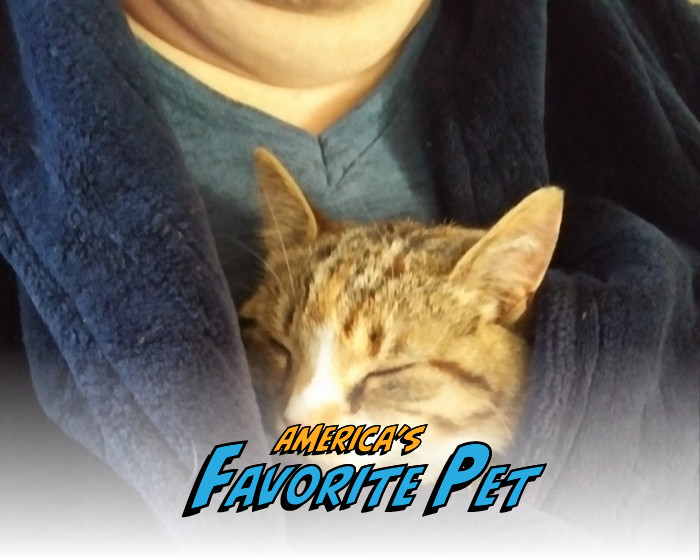 Hazel | America's Favorite Pet