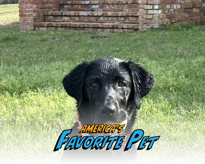 Ellie Mae | America's Favorite Pet