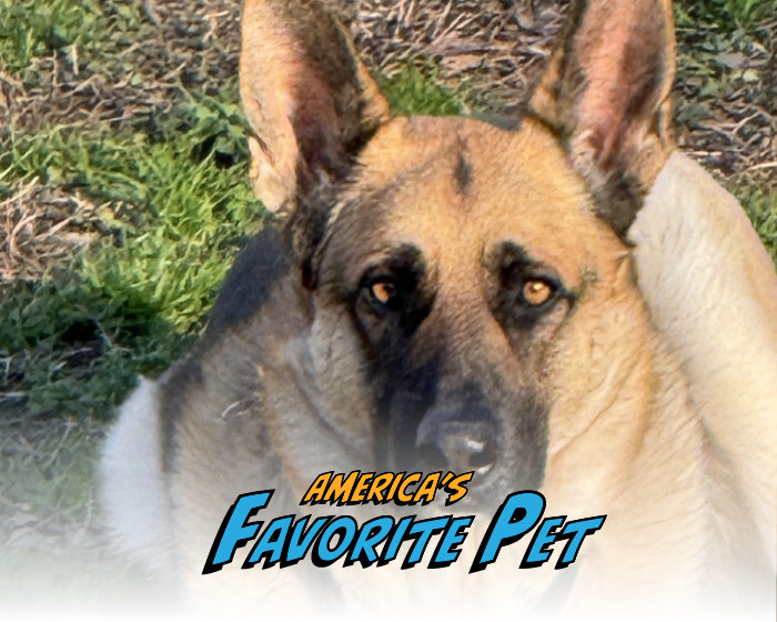 Zeus | America's Favorite Pet