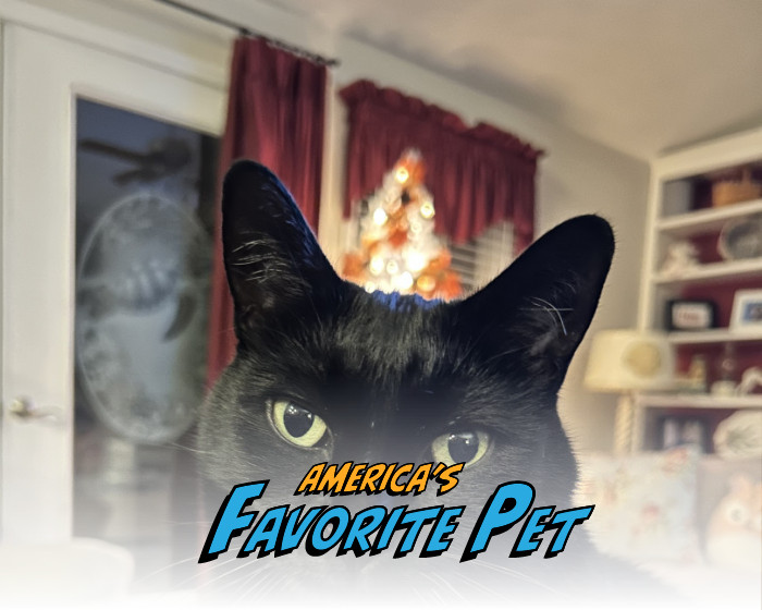 Cole | America's Favorite Pet