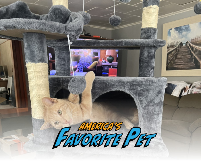 Buster move | America's Favorite Pet