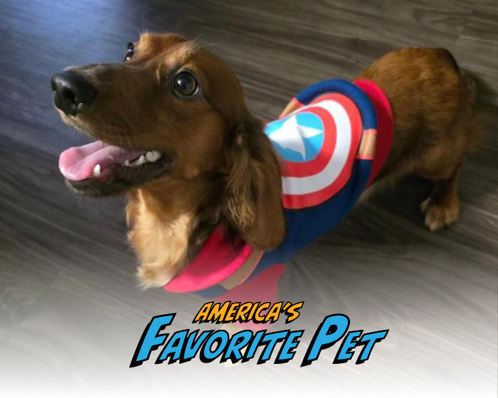 Milo | America's Favorite Pet